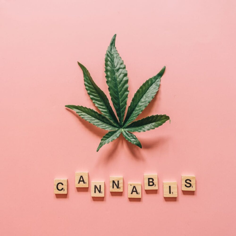 Decoding the Cannabis Strain Labelling System: What’s in a Name ...